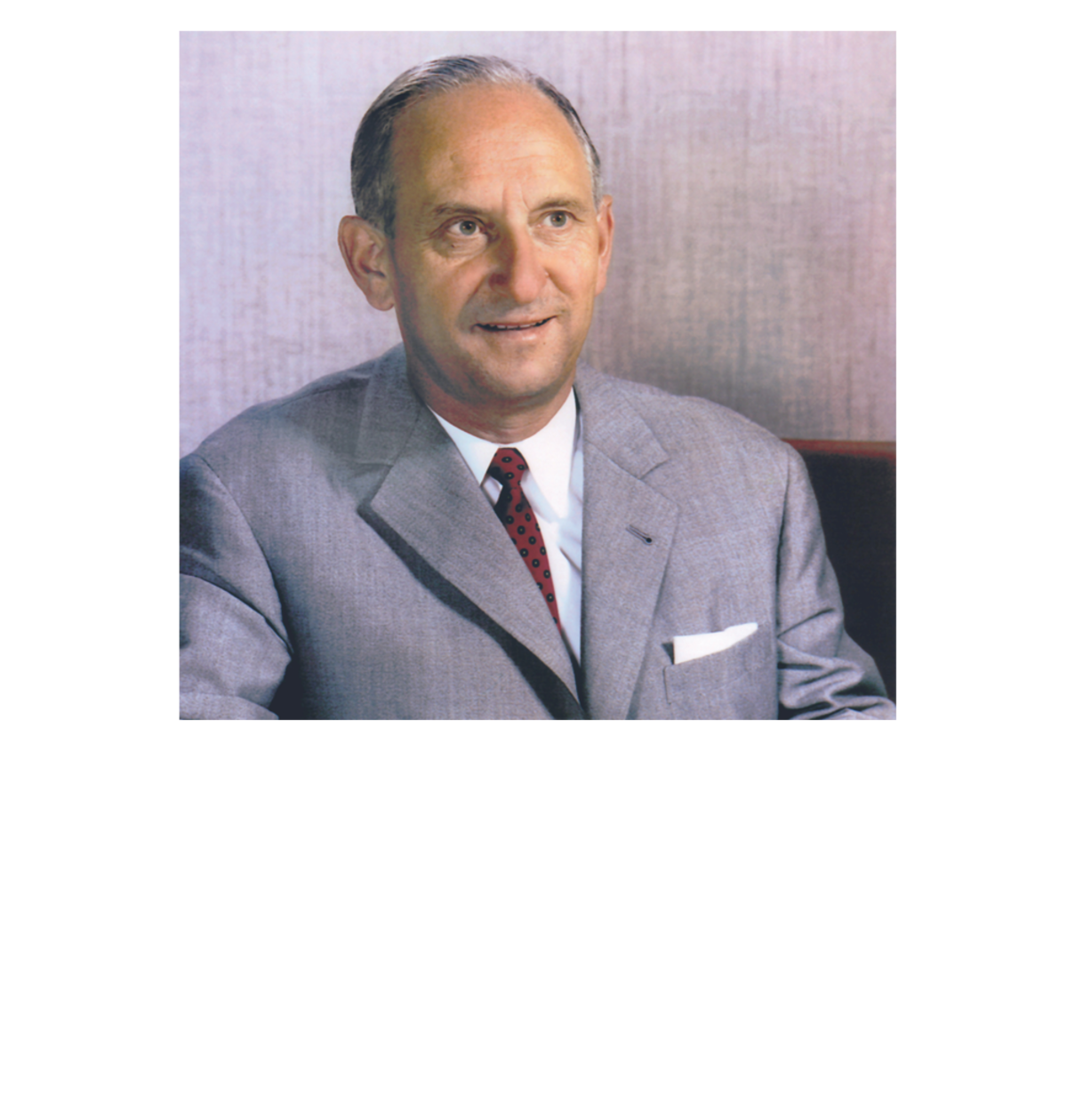 METZ Consumer Electronics: Chronicle