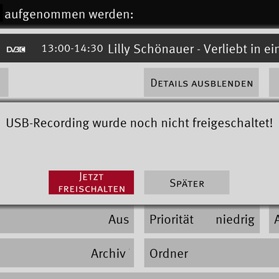 METZ Consumer Electronics: USB-Recording